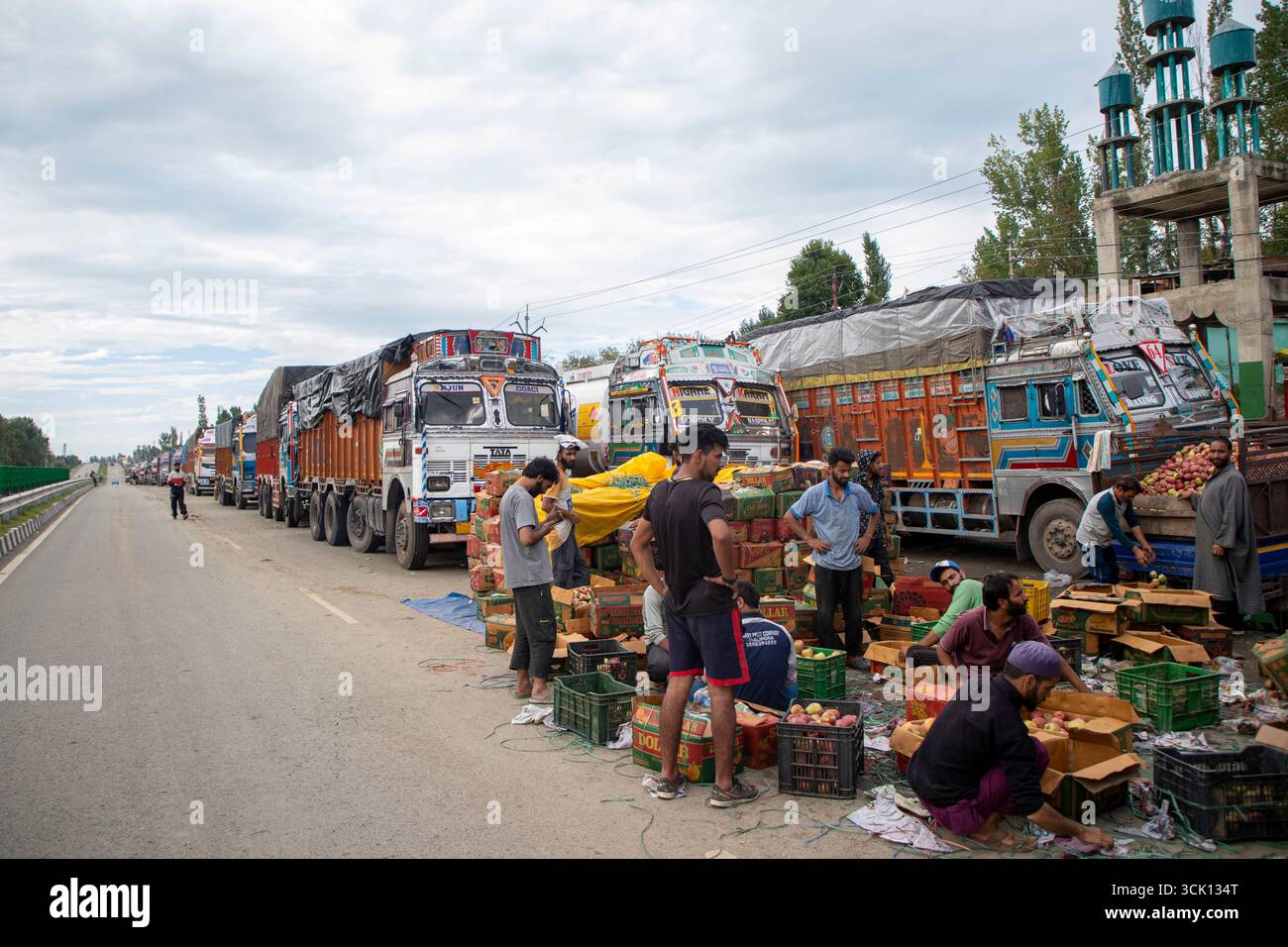 Truck drivers and traders sort rotten apples from boxes as trucks ...