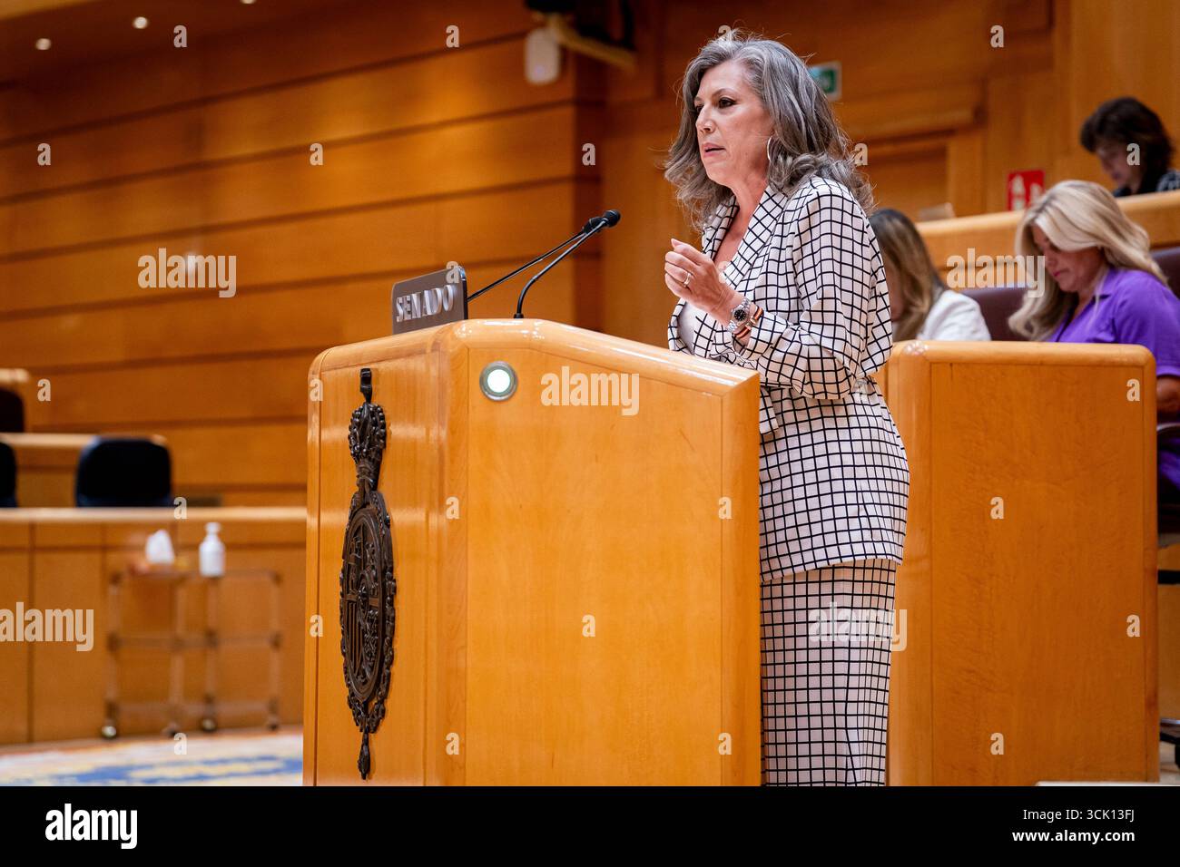 PP senator María Asunción Mayo speaks during a government control ...