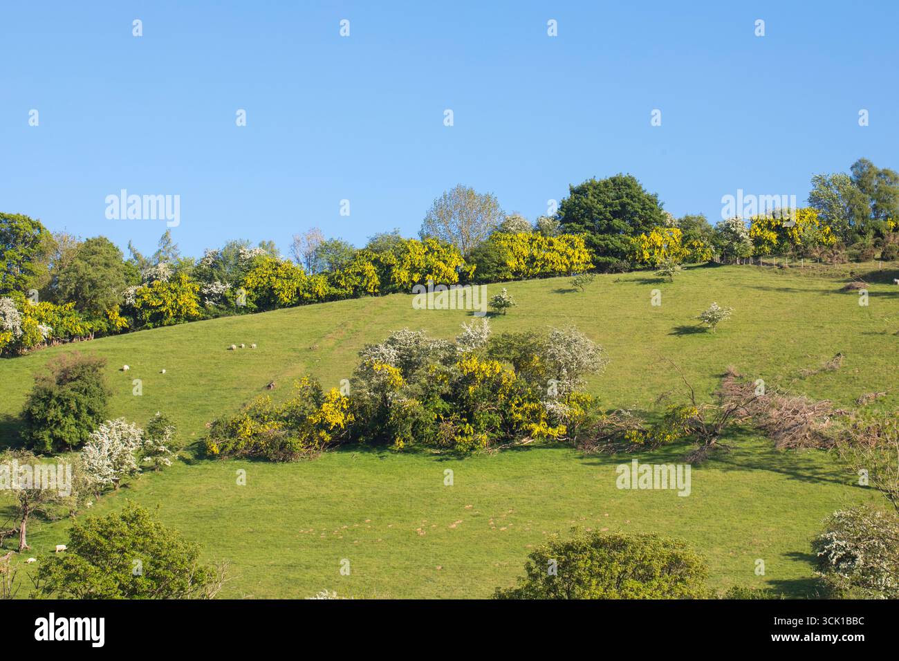 Mining tools hi-res stock photography and images - Alamy