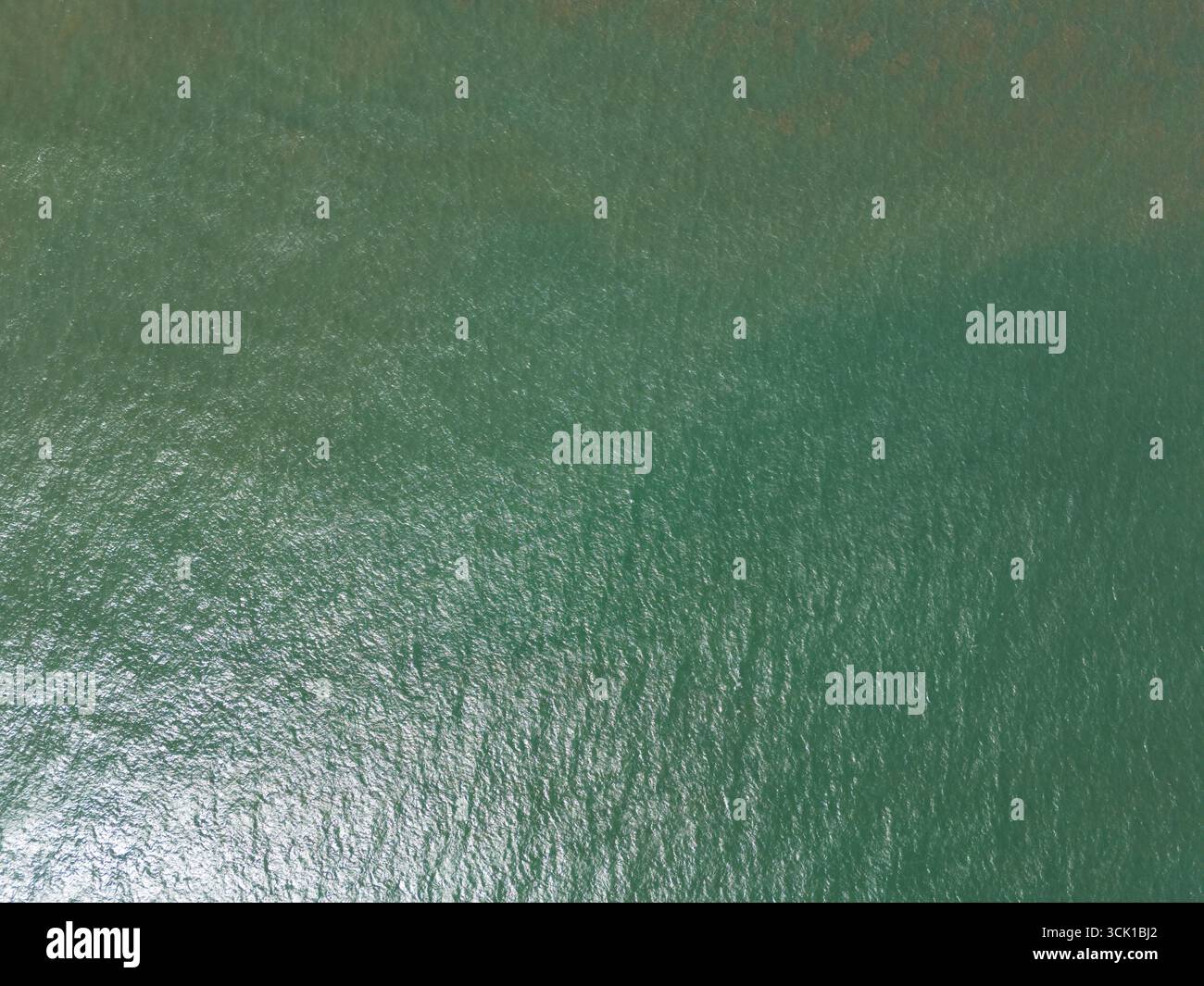 Deep green clean ocean hi-res stock photography and images - Alamy