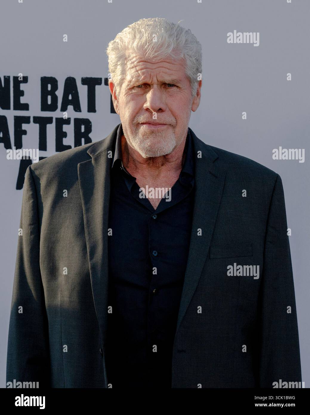 September 8, 2025, Hollywood, California, USA: American actor and voice ...