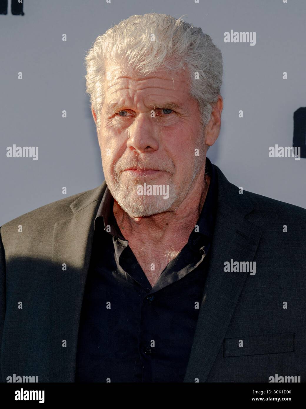 September 8, 2025, Hollywood, California, USA: American actor and voice ...