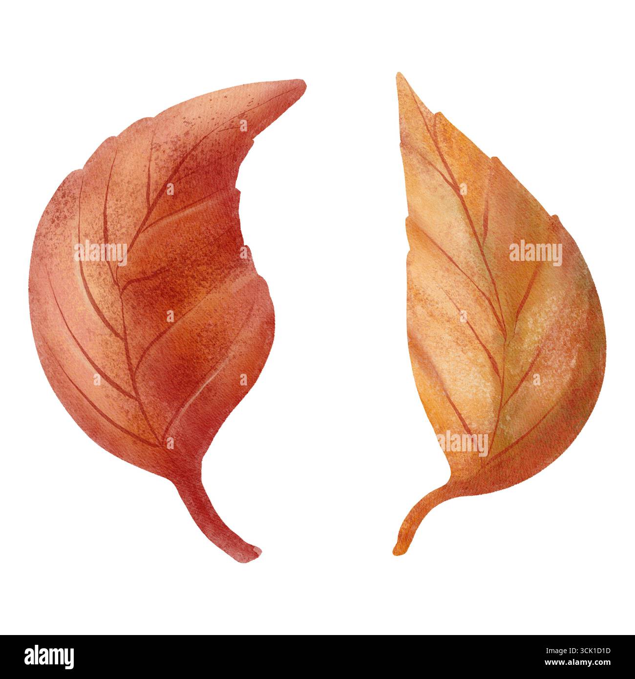 In warm shades of red Cut Out Stock Images & Pictures - Alamy