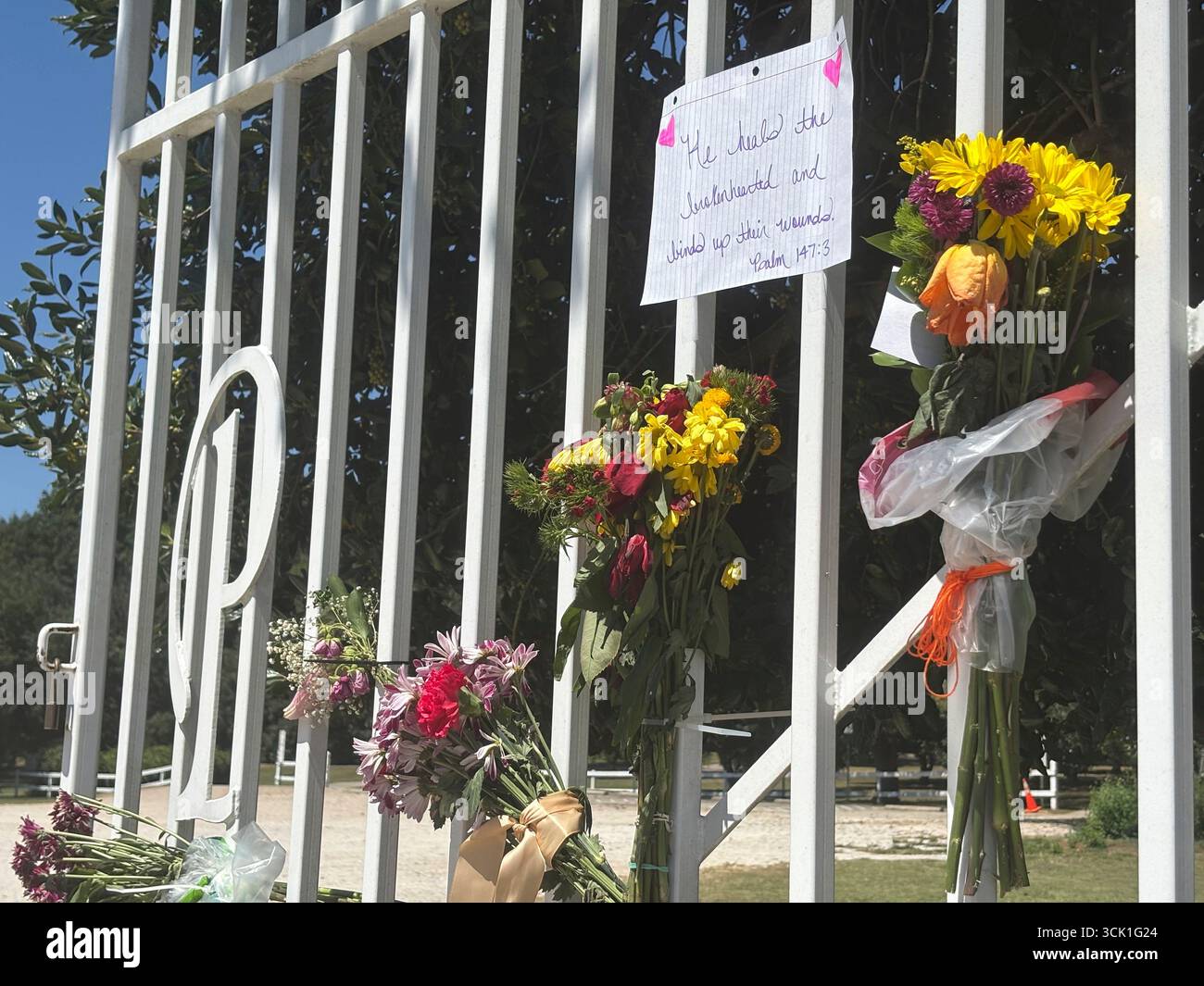 Flowers and memorial notes hang from the gate to Kiesel Park in Auburn ...