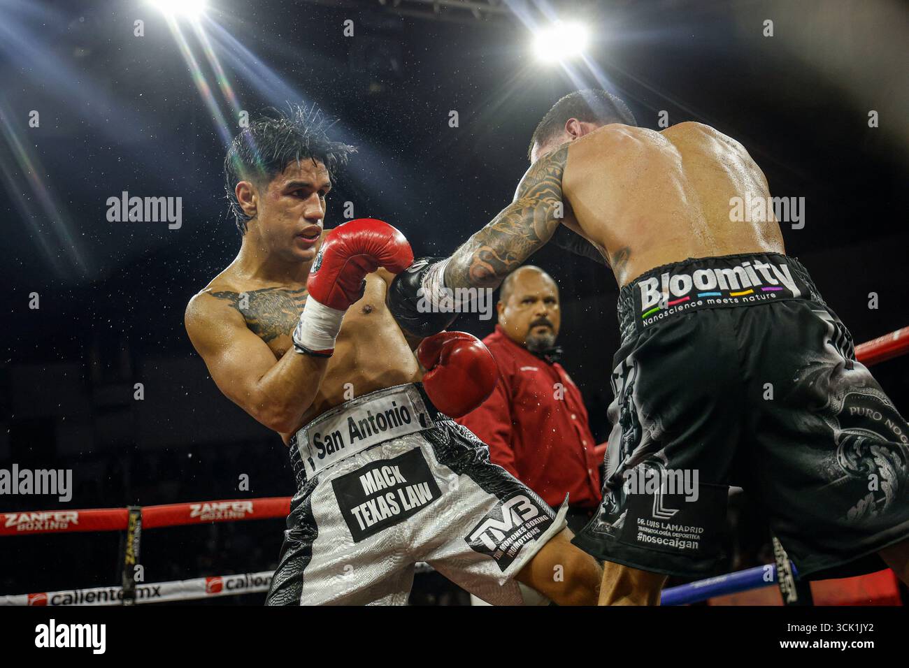 NOGALES, MEXICO - SEPTEMBER 6: Oscar Valdez (R) fights against Ricky ...