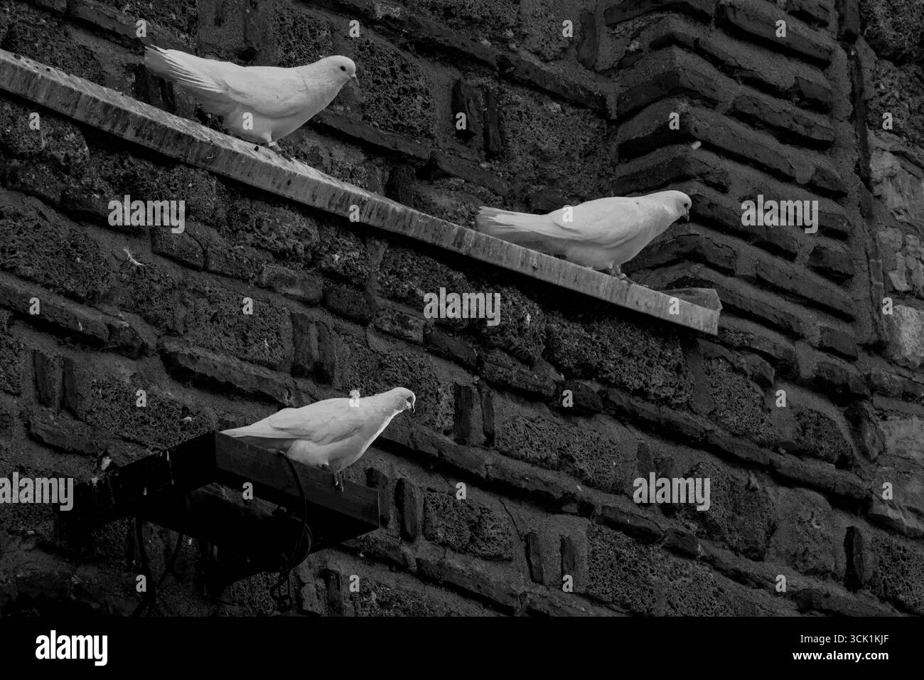 Peaceful sacred scene Black and White Stock Photos & Images - Alamy