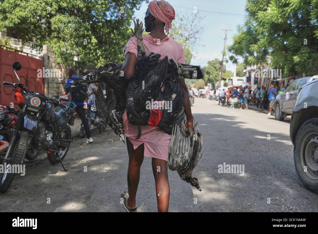 A street vendor balances live turkeys on her shoulder as she walks in ...