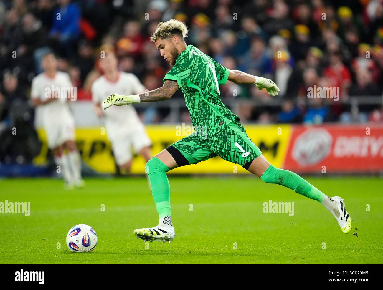 Canada goalkeeper Dayne St. Clair during an international friendly ...
