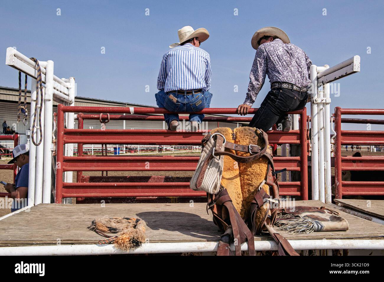 Indian cowboys at the Indian Rodeo. Maskwacis (Hobbema) Alberta Canada ...