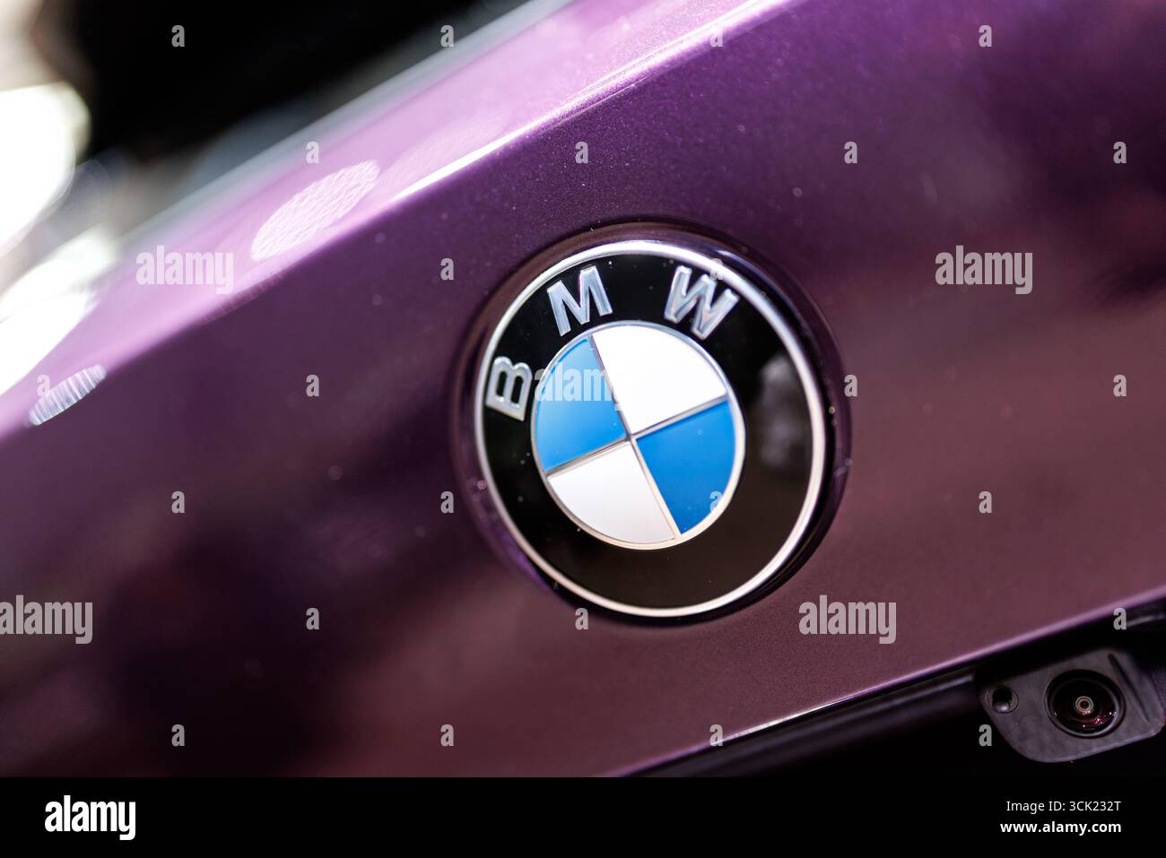 08 September 2025, Bavaria, Munich: The BMW brand logo (brand, logo ...