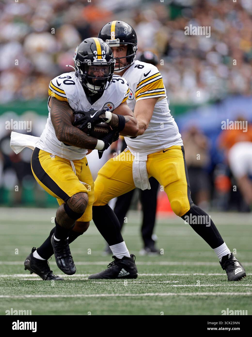 Pittsburgh Steelers quarterback Aaron Rodgers (8) hands the ball off to ...