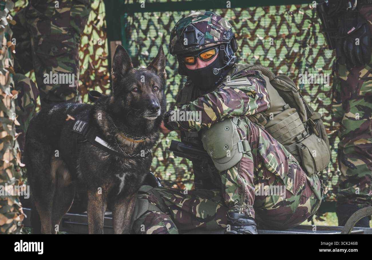 Special forces officer with trained German Shepherd police dog Stock ...