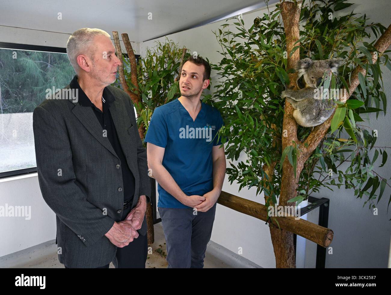 Professor of Microbiology, Peter Timms (left) and Senior Veterinarian ...