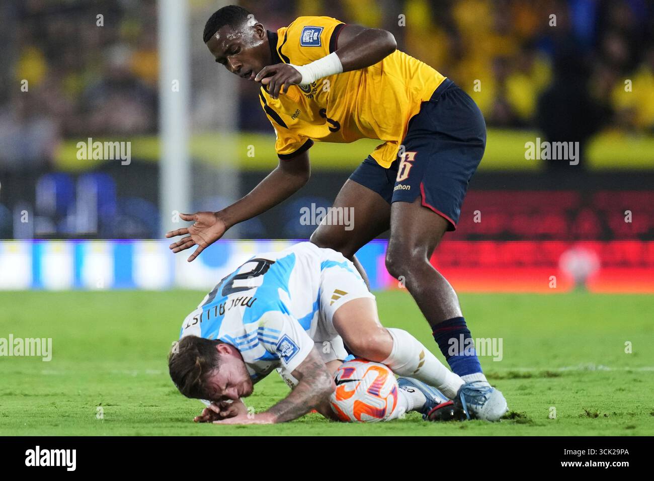 Argentina's Alexis Mac Allister, below, and Ecuador's Willian Pacho ...