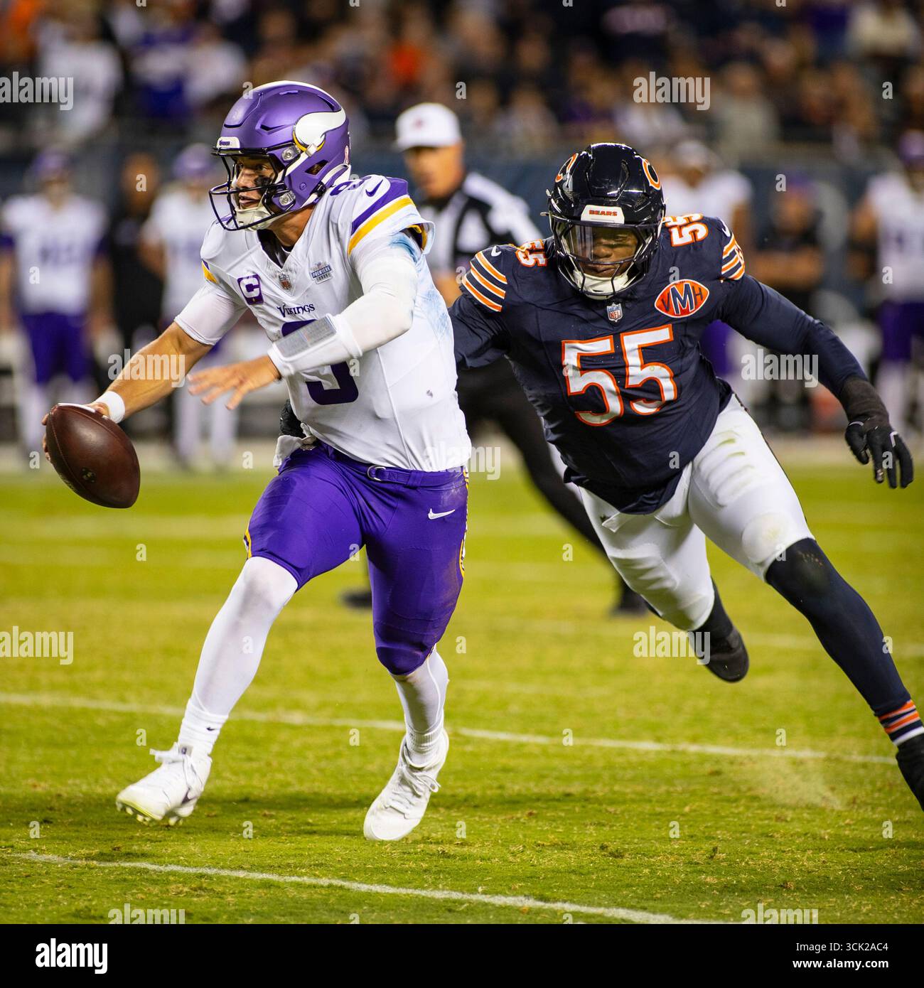 September 08, 2025: Chicago Bears Dayo Odeyingbo (55) chases Minnesota ...
