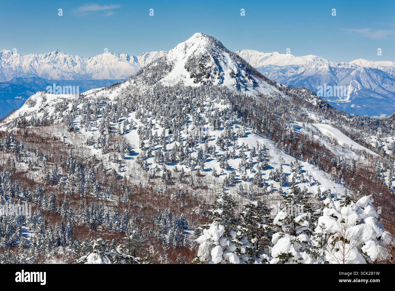 Crisp alpine landscape showing snowy forests and peaks of the Japanese ...