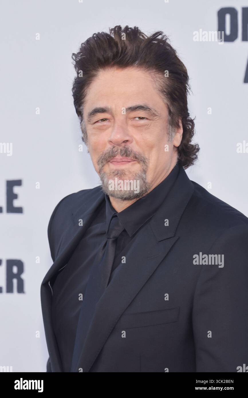 Benicio Del Toro attends the world premiere of Warner Bros. Pictures ...