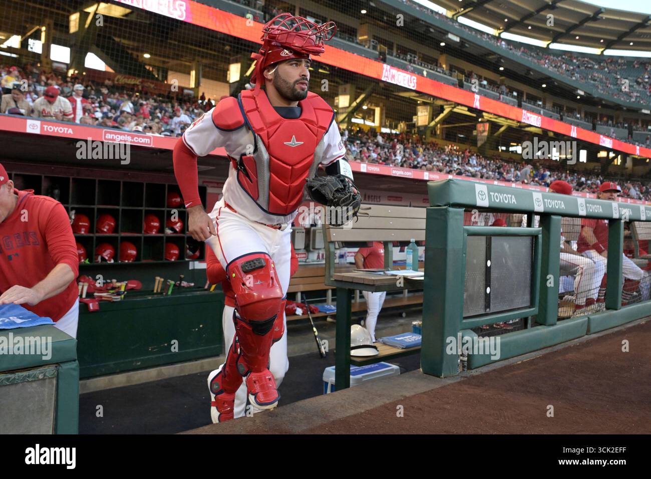Los Angeles Angels Sebastian Rivero runs on to the field for the first ...