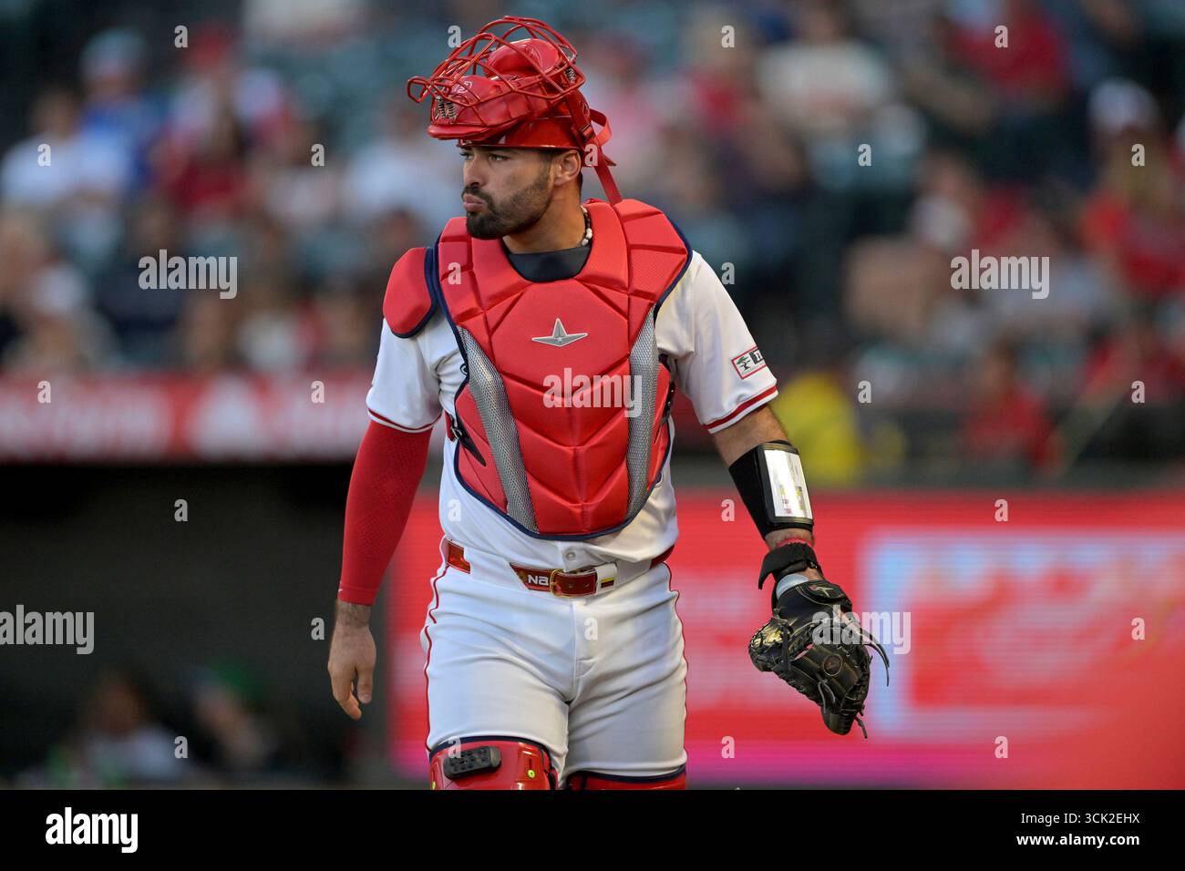 Los Angeles Angels Sebastian Rivero looks on during a baseball game ...