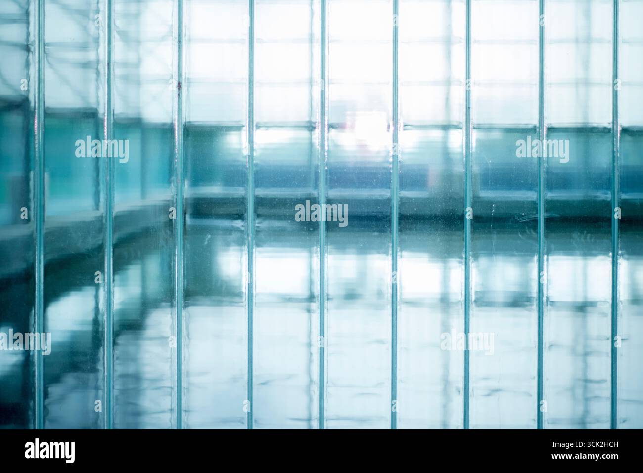 Ecosistema interior hi-res stock photography and images - Alamy