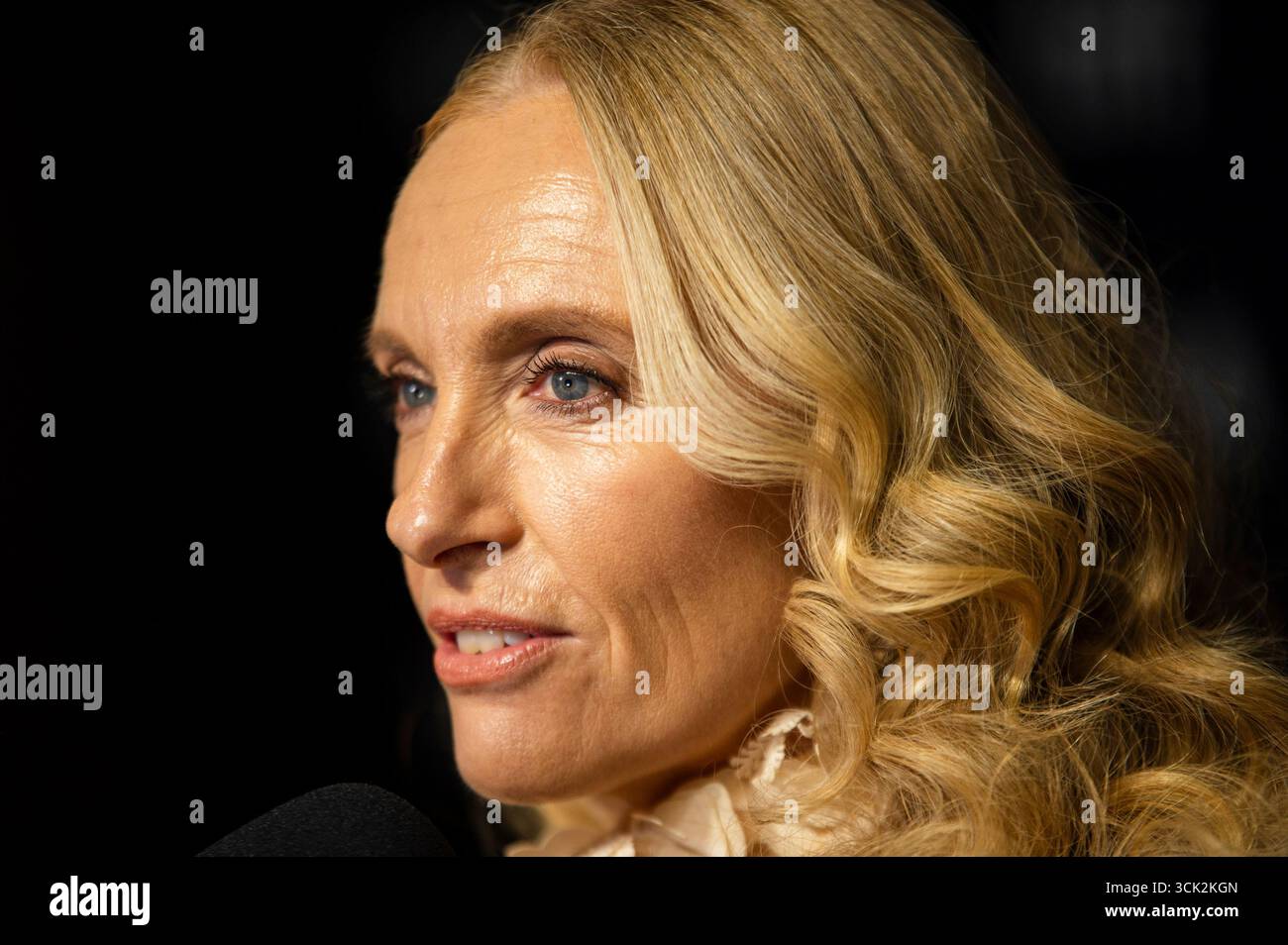 Toni Collette speaks to reporters on the red carpet for "Wayward" at ...