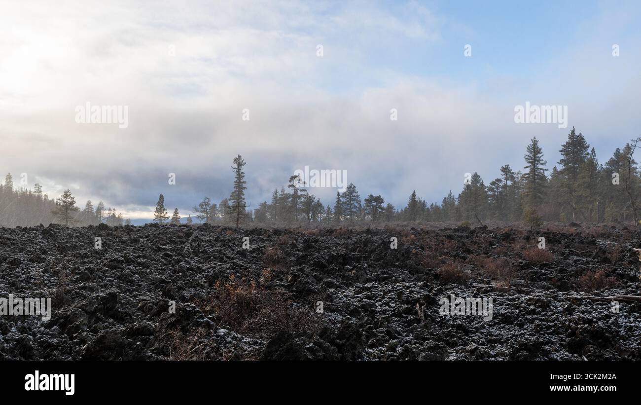 Snowfall Over Lava Cast Forest Trail, Newberry National Volcanic ...
