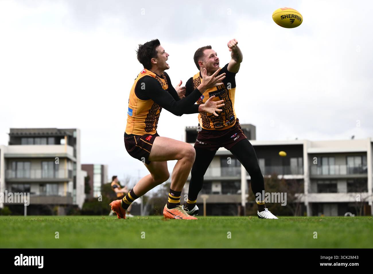 Mitch Lewis of the Hawks (left) and Blake Hardwick of the Hawks compete ...