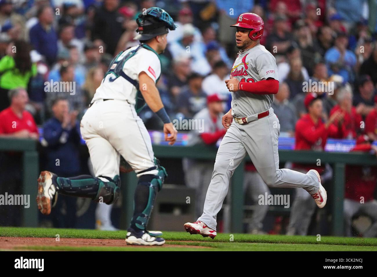 St. Louis Cardinals' Willson Contreras scores on an RBI double from ...