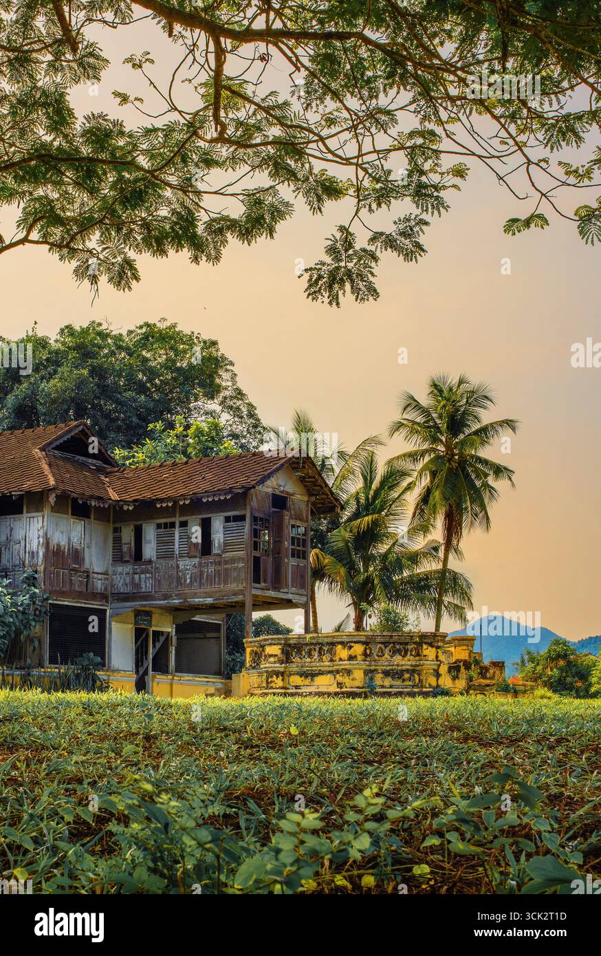 Rumah kampung tradisional hi-res stock photography and images - Alamy