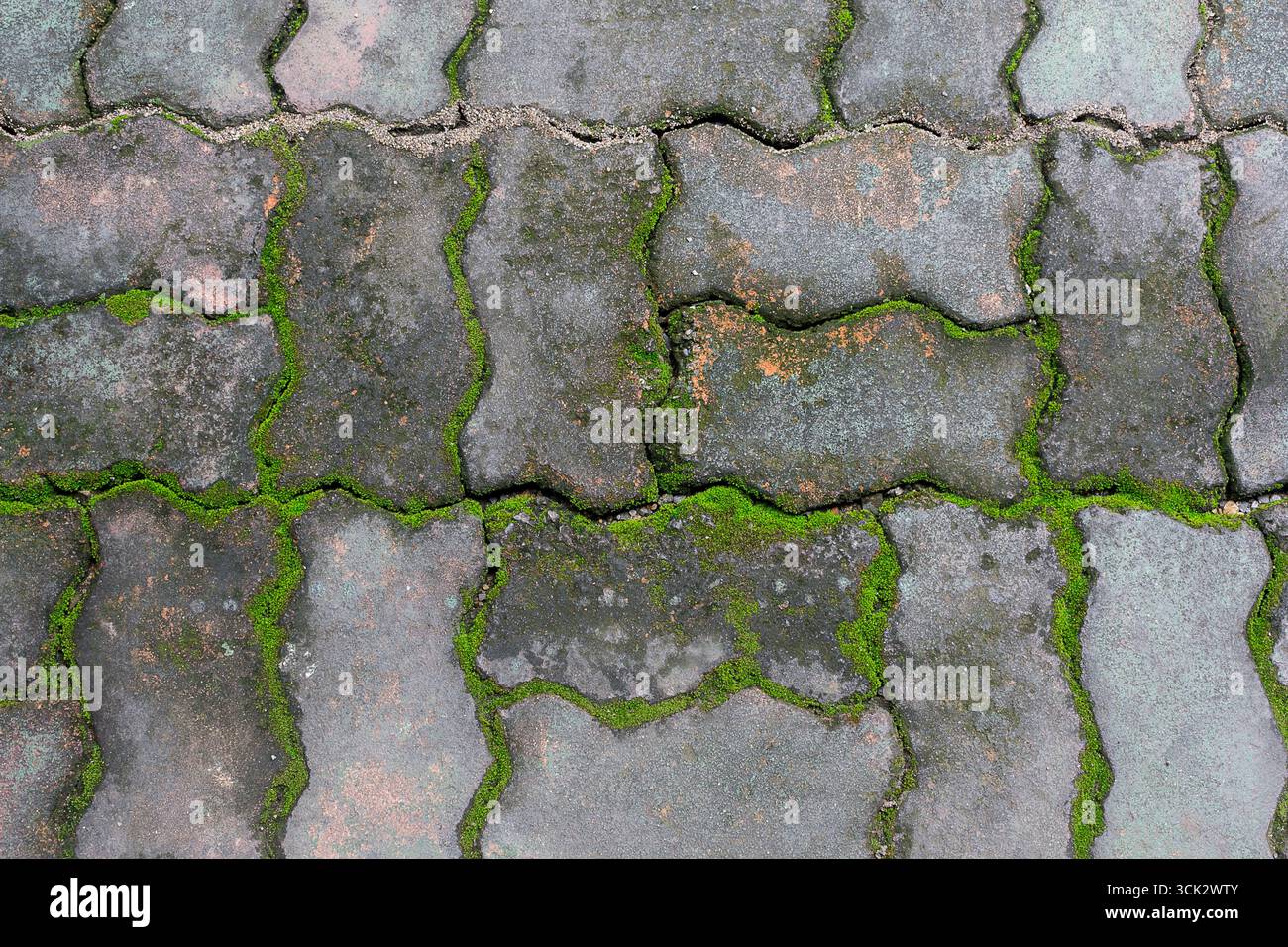 Moss concrete block hi-res stock photography and images - Alamy