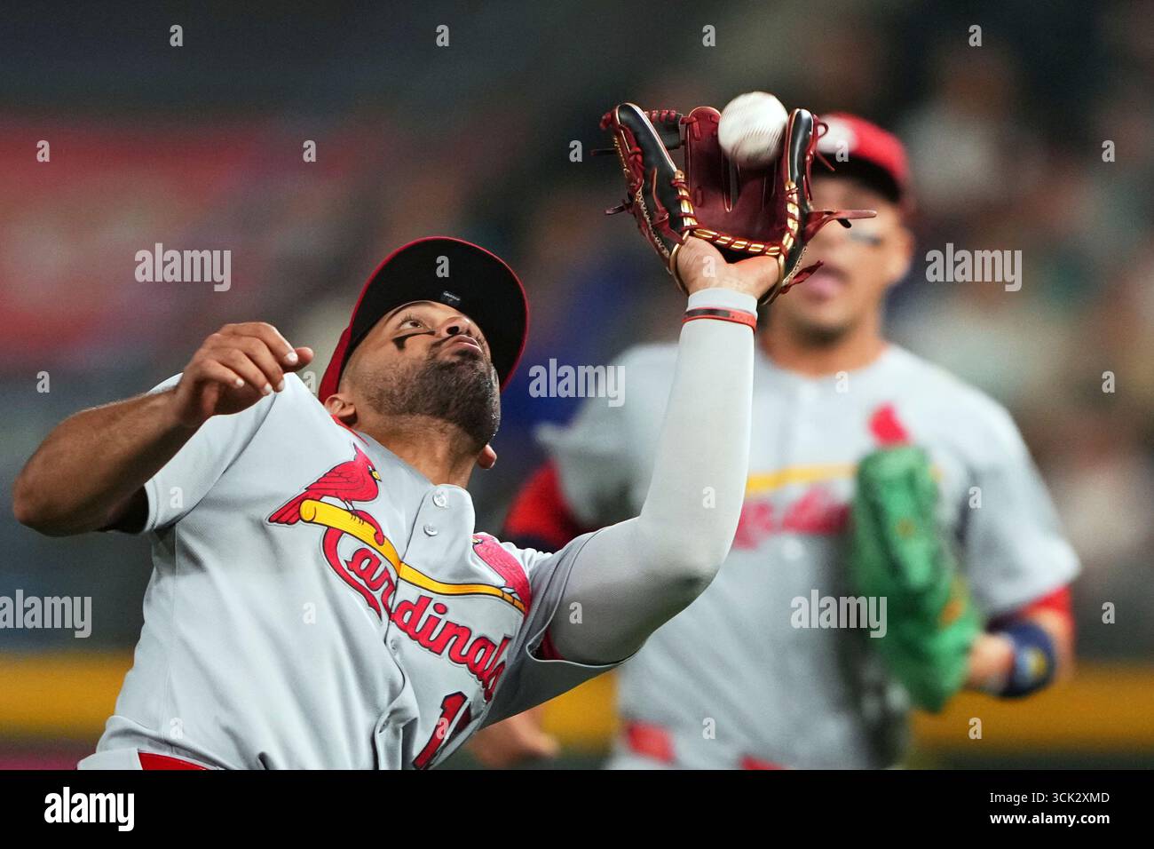St. Louis Cardinals second baseman Jose Fermin catches a fly ball from ...