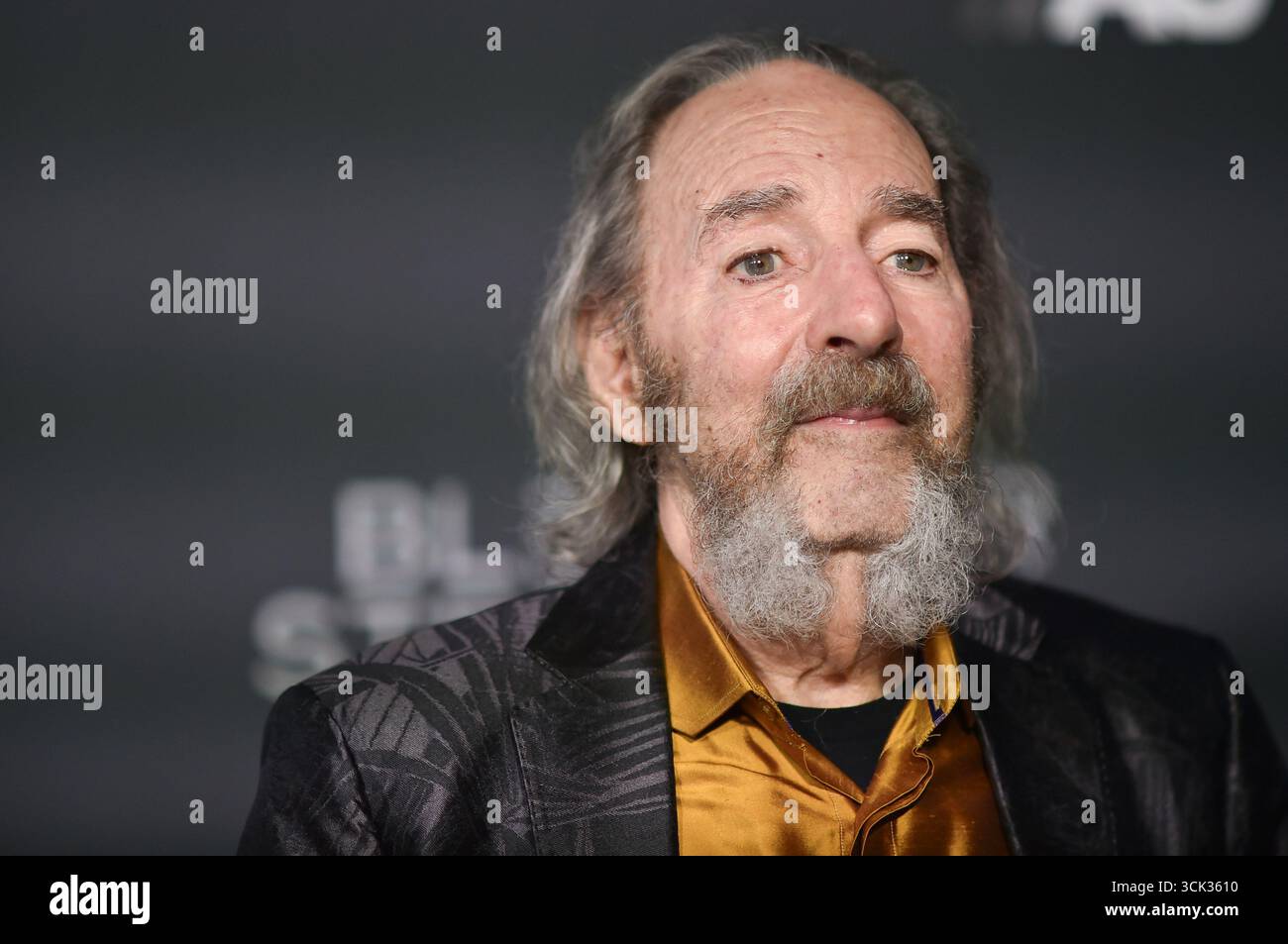 Harry Shearer arrives at the premiere of "Spinal Tap II: The End ...