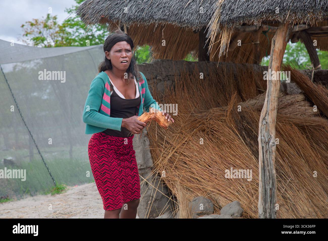 village portrait of single african woman in front of a thatched shack ...