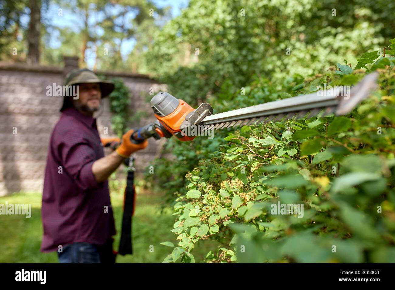 Gardener using electric trimmer pruning hi-res stock photography and ...
