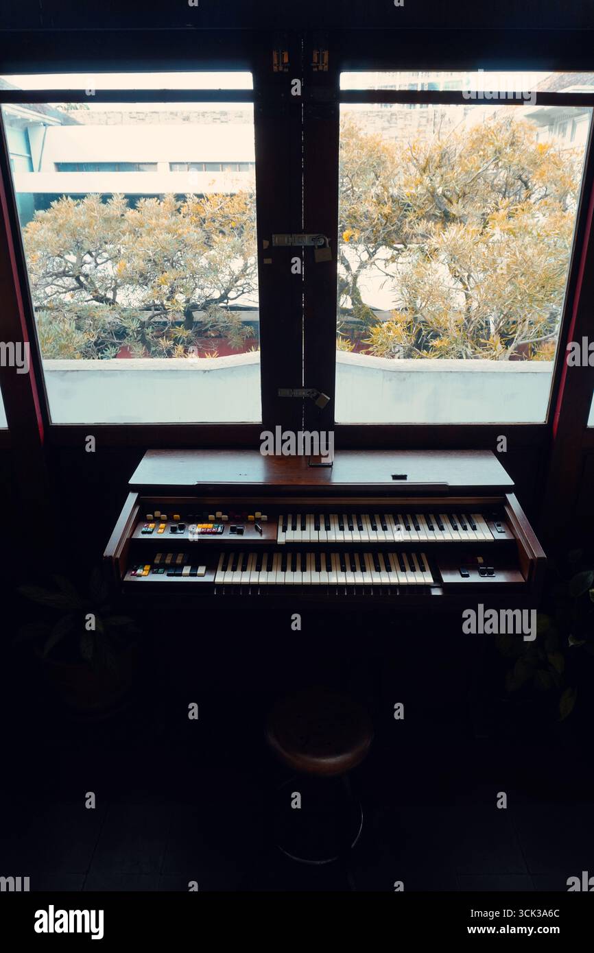 Retro electric organ stands near the window with trees visible outside ...