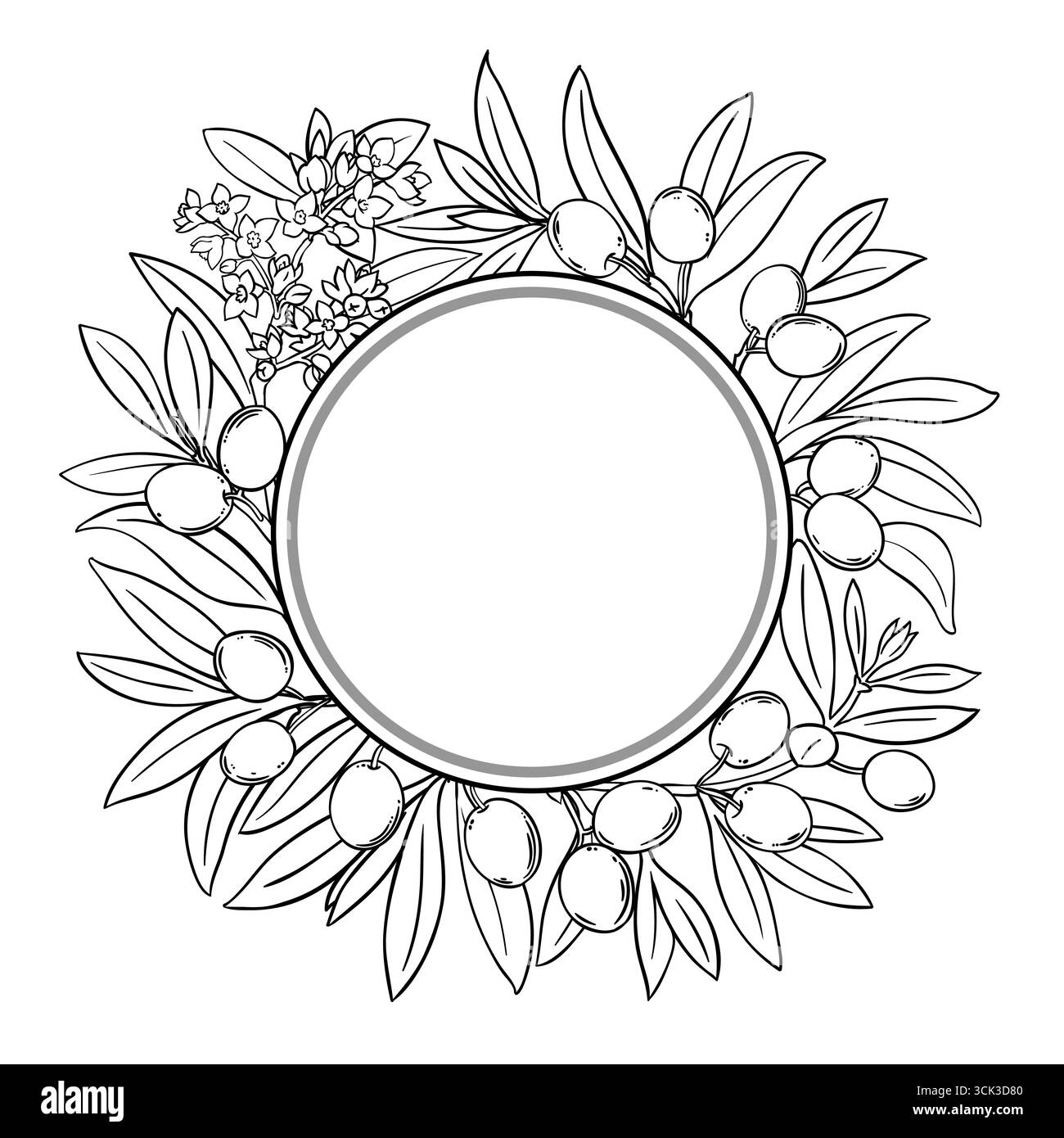 Olive branch frame border hi-res stock photography and images - Alamy