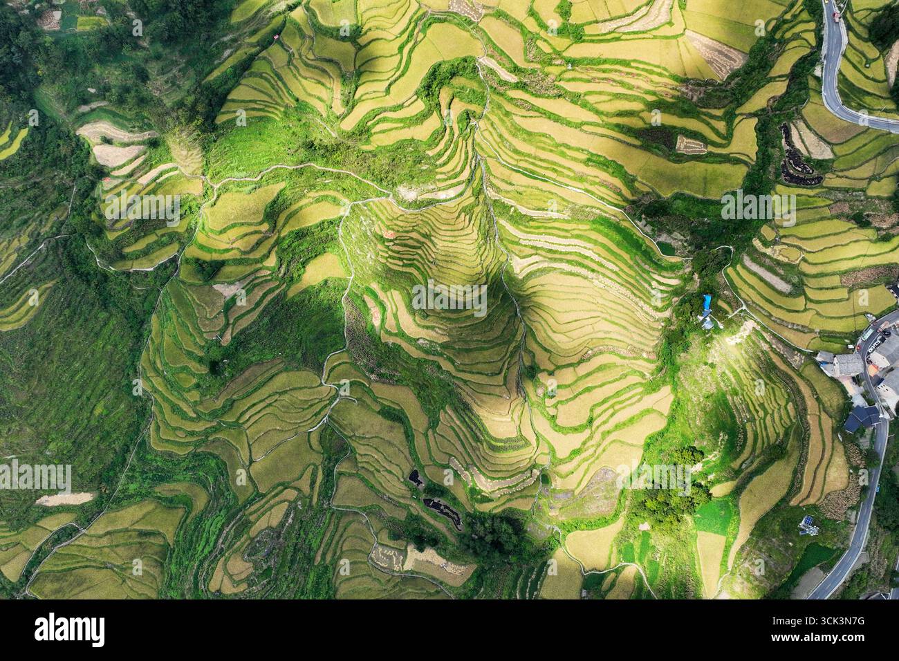 Aerial photo shows the terraced field in Youyang County, Chongqing ...