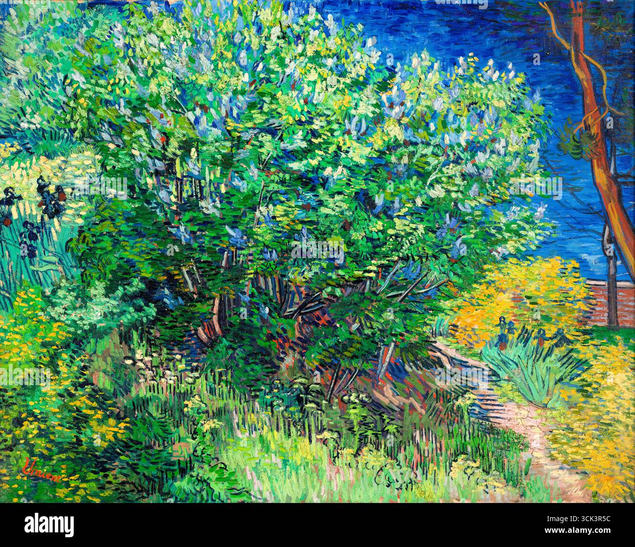 Vincent van Gogh, Lilacs / Lilac Bush, painting in oil on canvas, 1889 ...