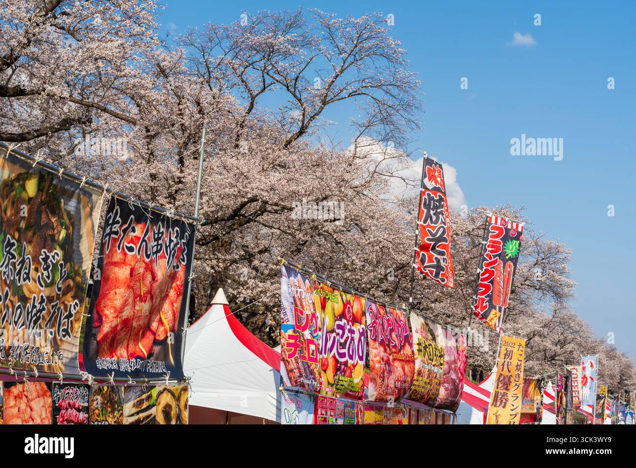 Kyoto, Japan. Colorful food stall banners and flags under blooming ...