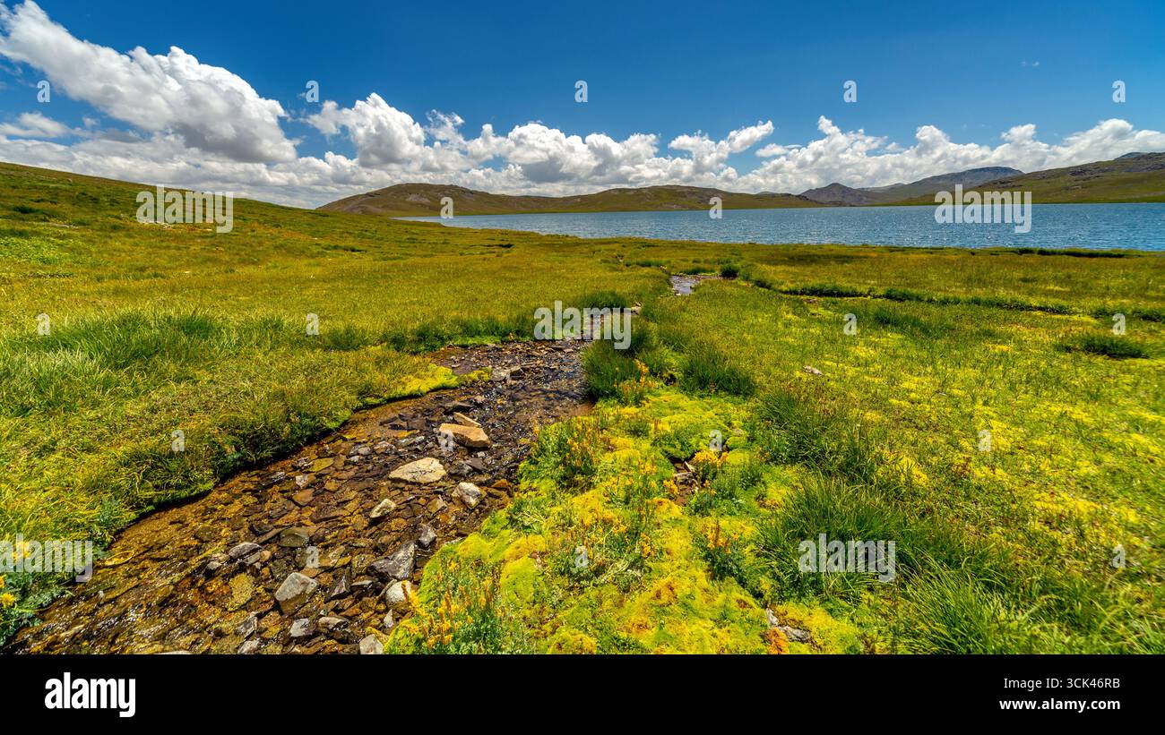View of a serene stream winding through vibrant green meadows towards a ...