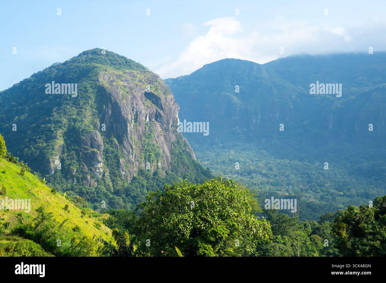 Aerial view of majestic mountains rise shrouded in mist, their verdant ...