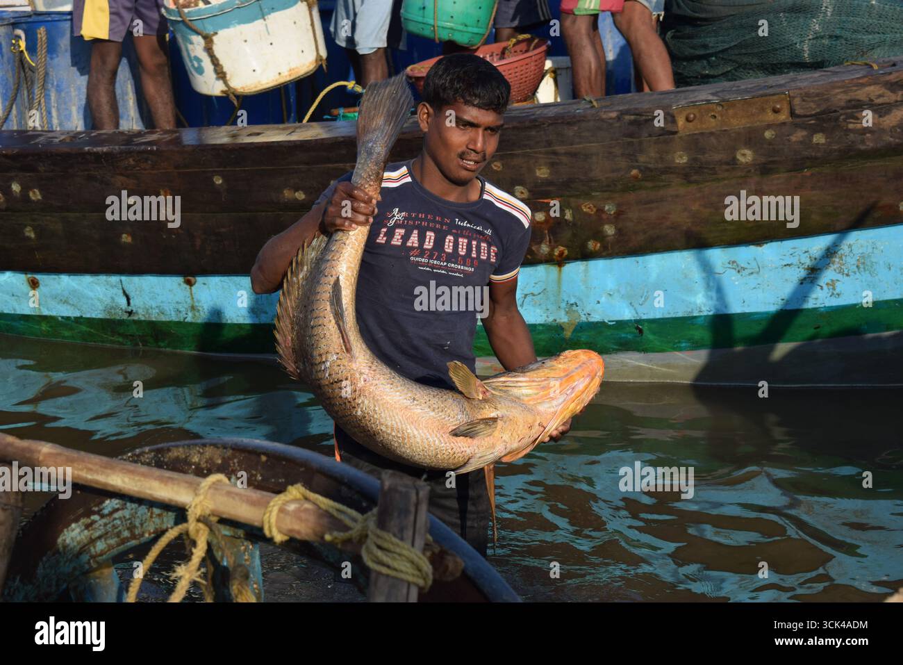 Traditional fishing boats arrive on the Mumbai coast of India with ...