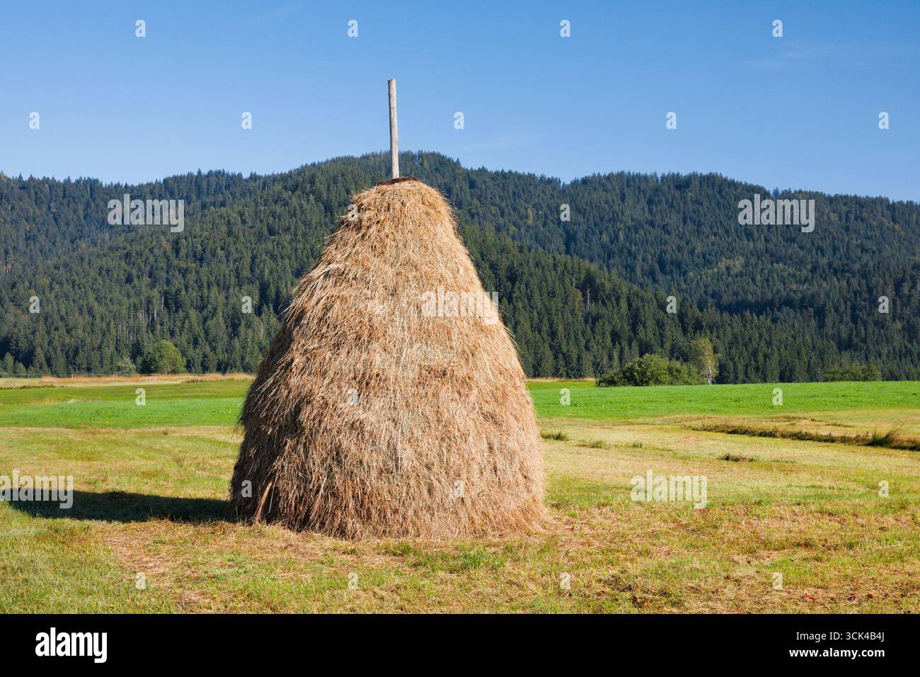 Loose hay stack hi-res stock photography and images - Alamy
