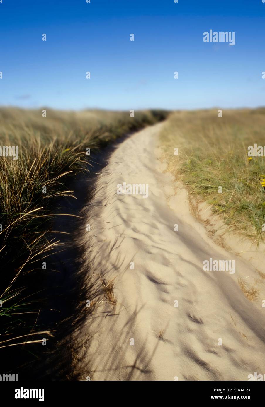 Cisco beach nantucket hi-res stock photography and images - Alamy