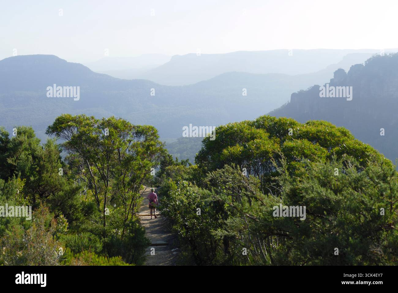 Rear view of woman walking towards valley in Blue Mountains National ...