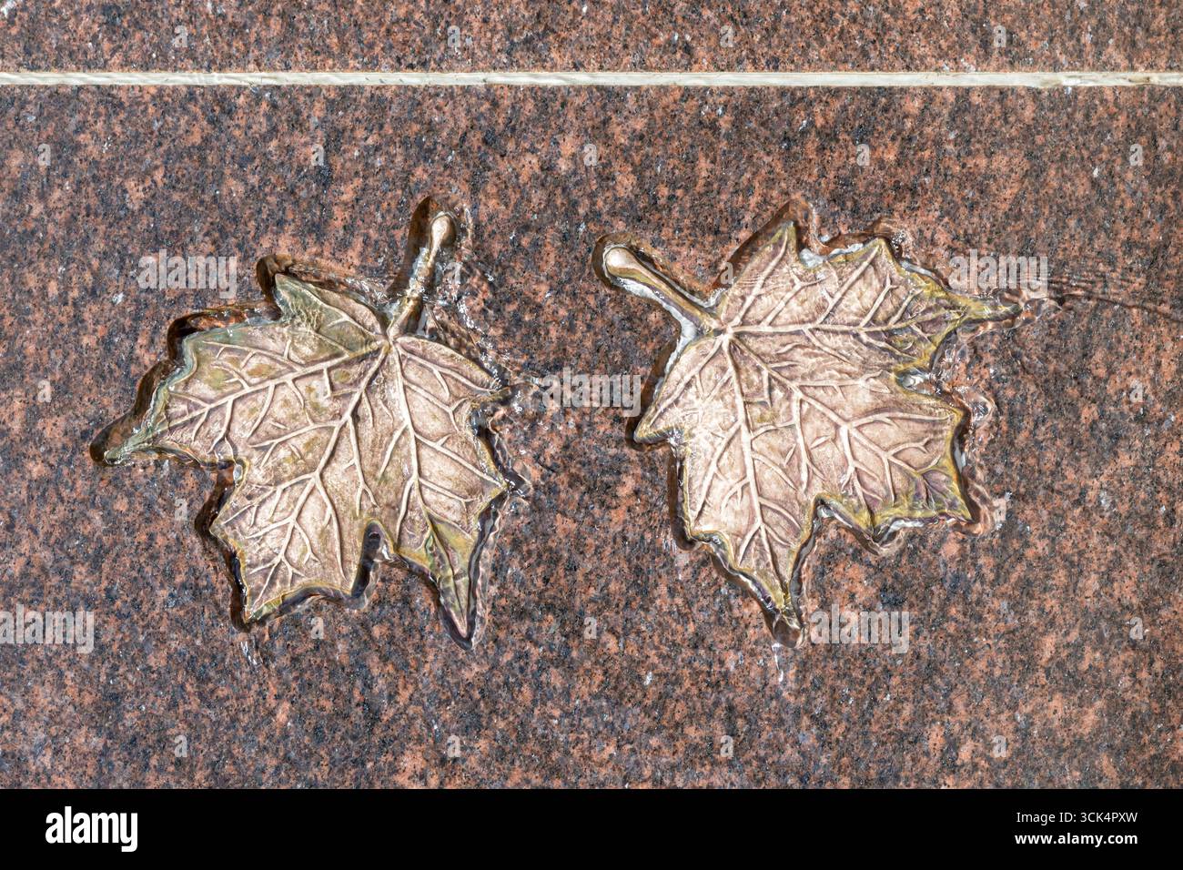 Honours canadians who served in the uk hi-res stock photography and ...