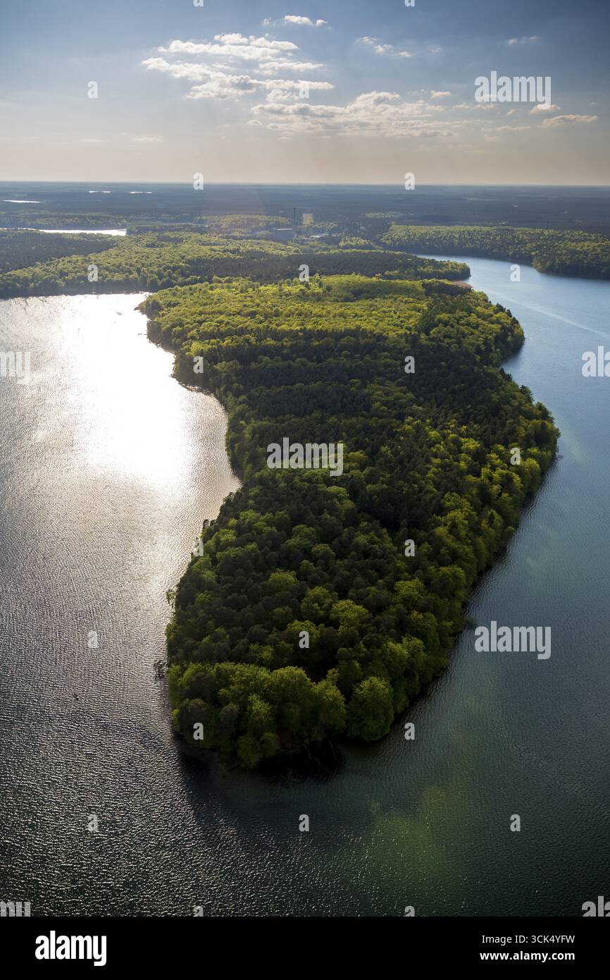 Headland, peninsula, the Great Stechlin, Rheinsberge Lake District with ...