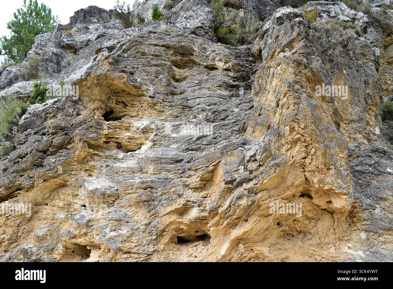 Travertine Limestone Depositional Environment