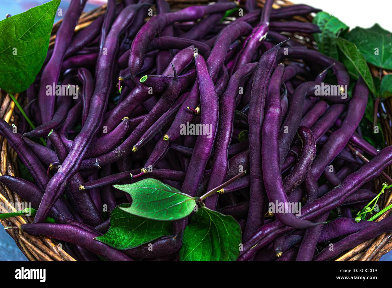 Dwarf french bean purple hi-res stock photography and images - Alamy