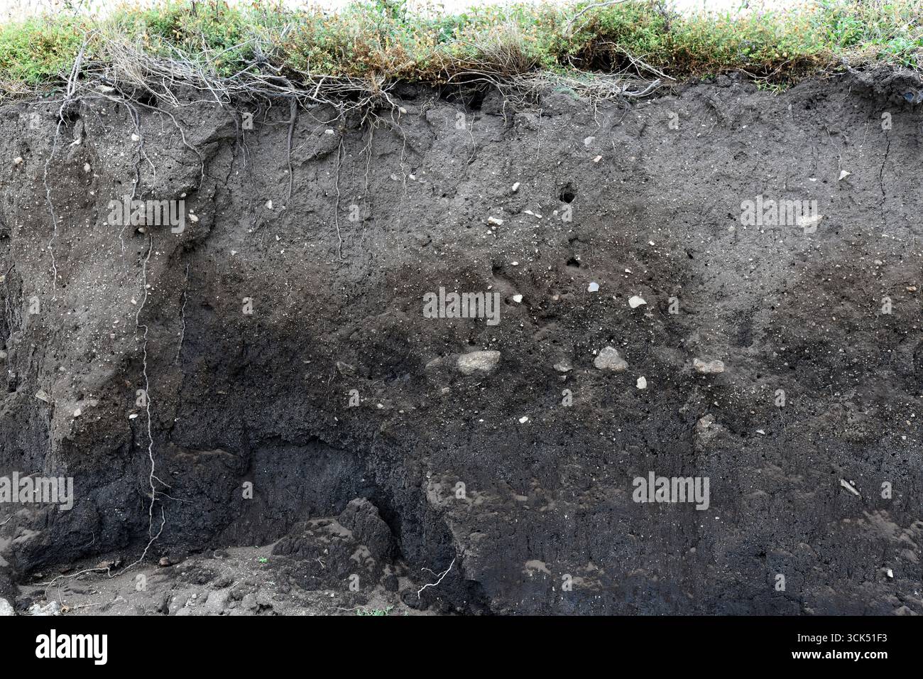 Histosol hi-res stock photography and images - Alamy